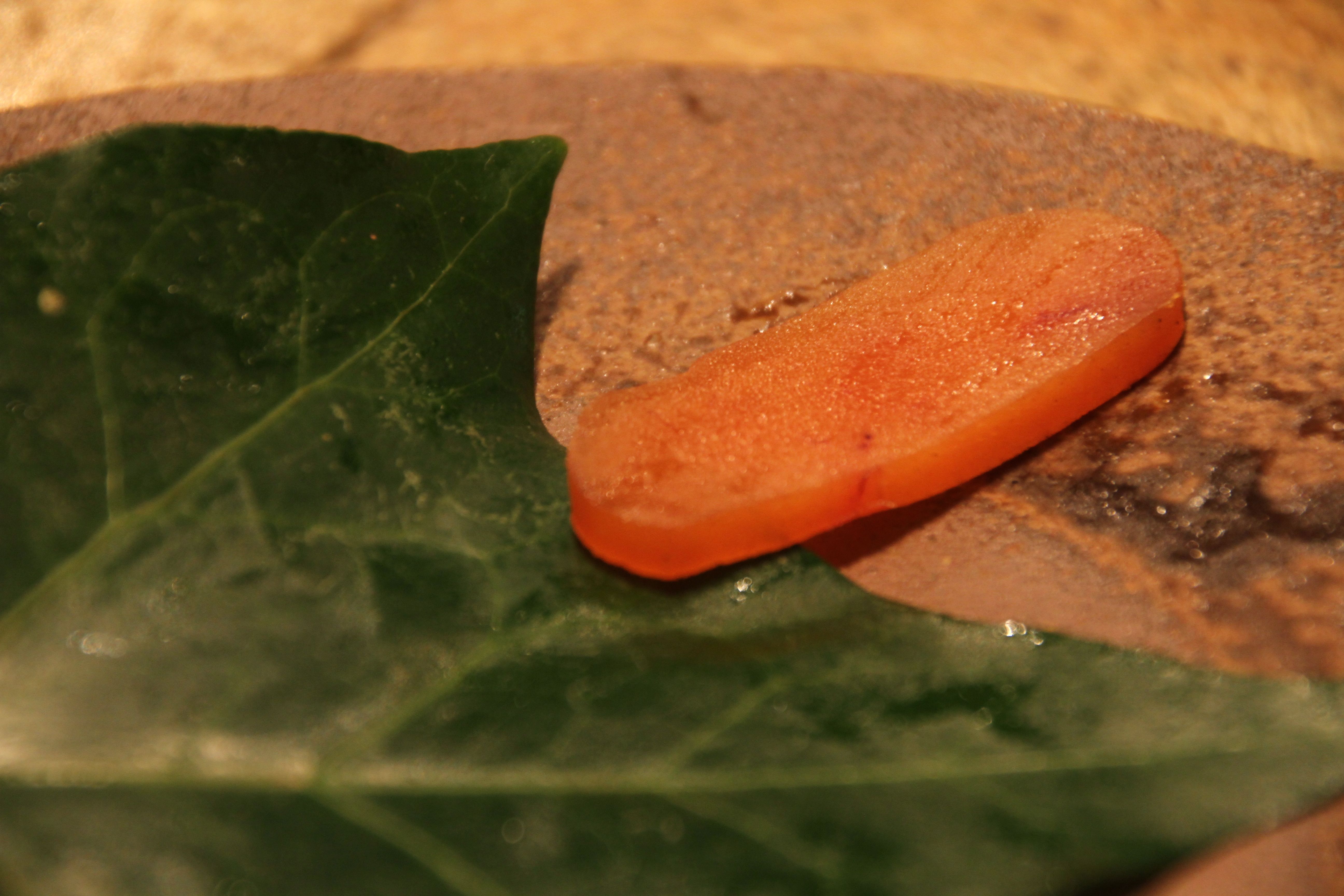 Karasumi – MESUBIM