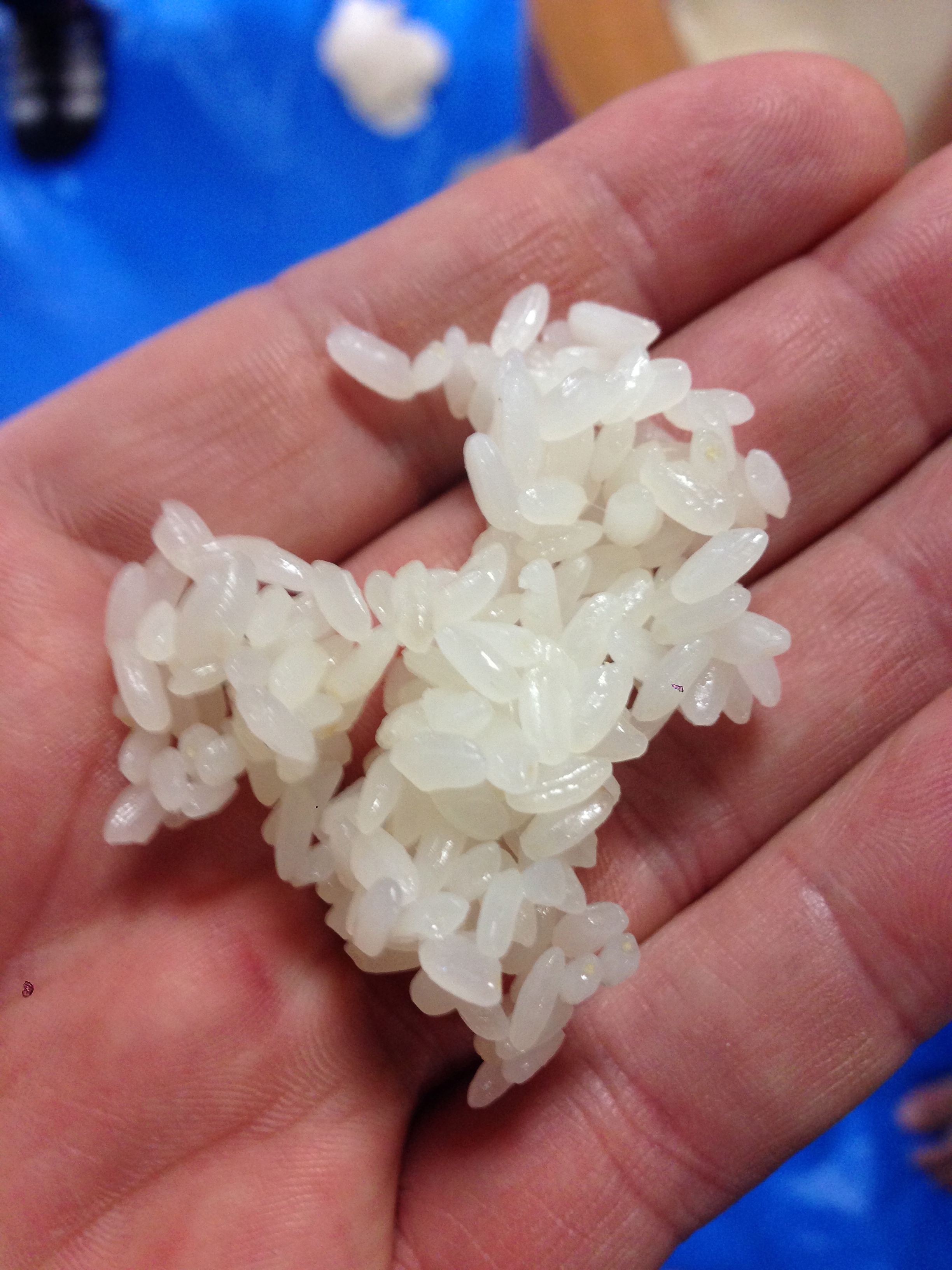 Shiro-Gohan [white rice] – MESUBIM