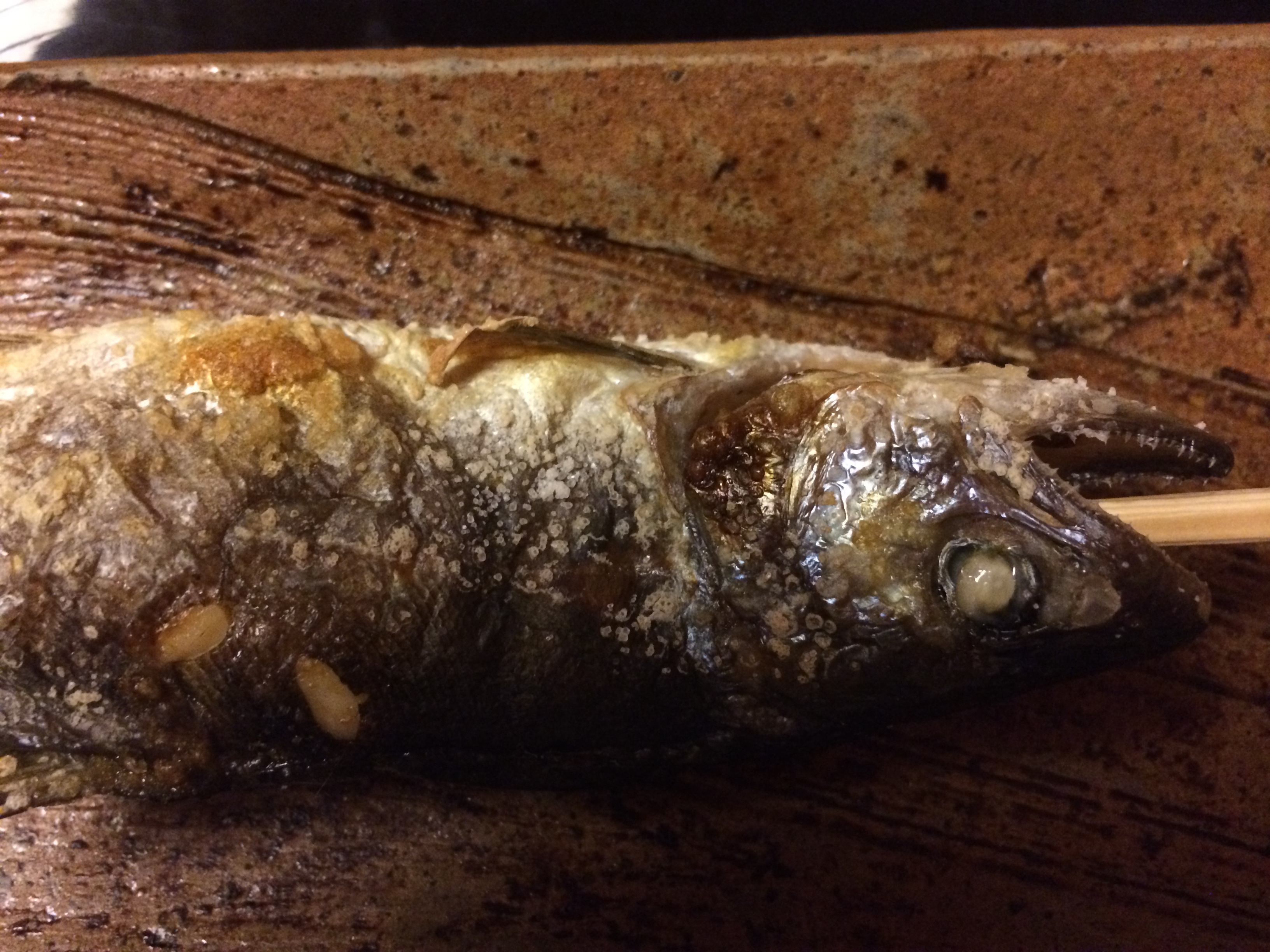 Amago @ Yagyunosho – MESUBIM