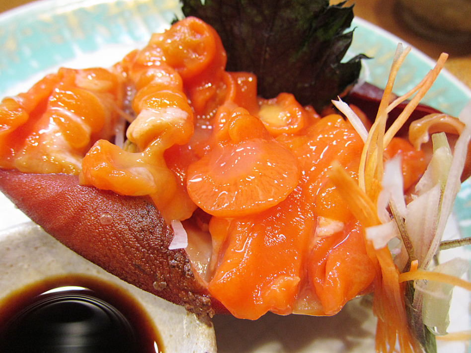 Sea Squirt |Sea Cucumber| – MESUBIM